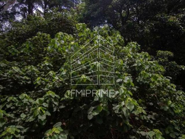 Lindo Apartamento em Piritua,2 dormitórios