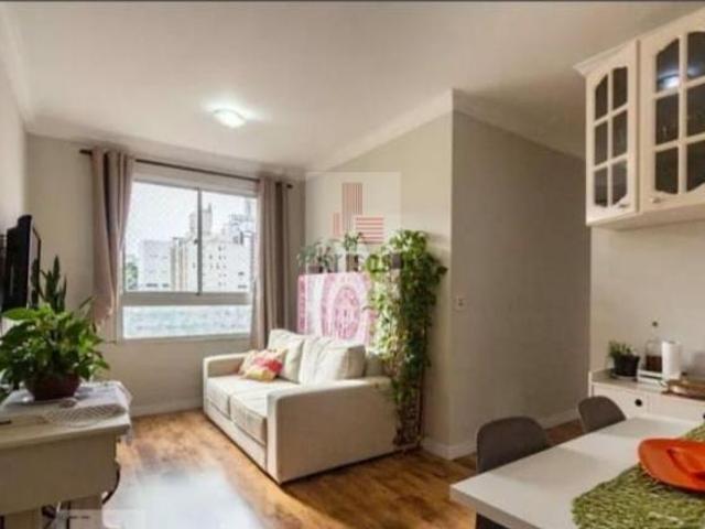 Lindo Apartamento Na Fazenda Morumbi