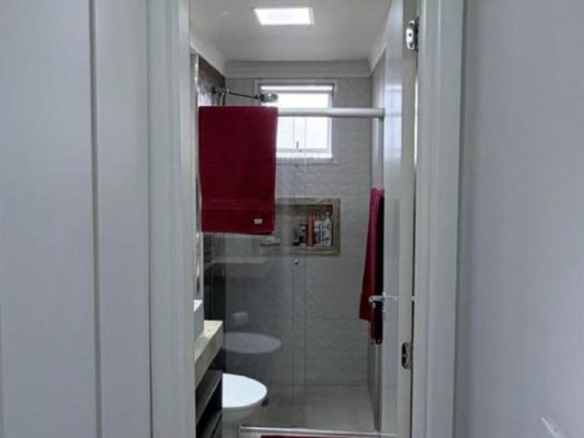 Lindo Apartamento no Jardim Nova Europa, Campinas SP