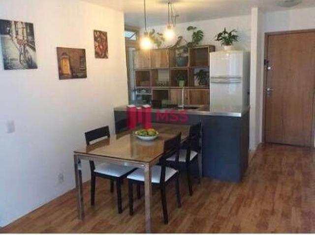 Lindo Apartamento Padrão