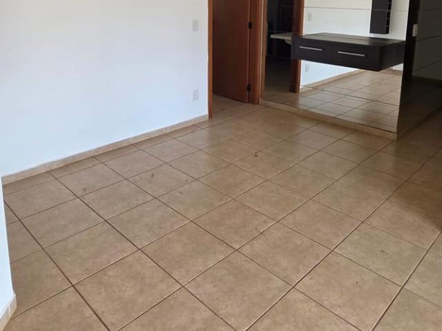 Lindo Apartamento para locação, Jardim América, Ribeirão Preto, SP