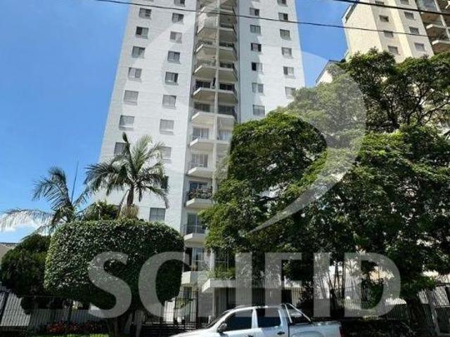 LINDO APT NA VILA SANTA CATARINA
