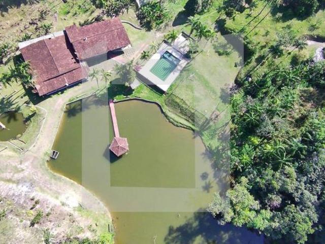 LINDO SITIO 3 ALQUEIRES