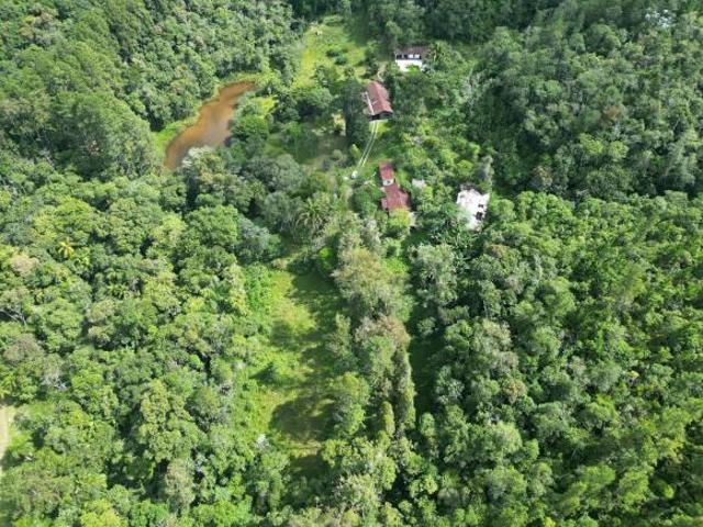 Lindo Sitio a Venda na Cidade de Juquitiba com 06 Alqueires