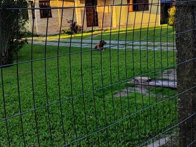 Lindo sitio á venda no Lami