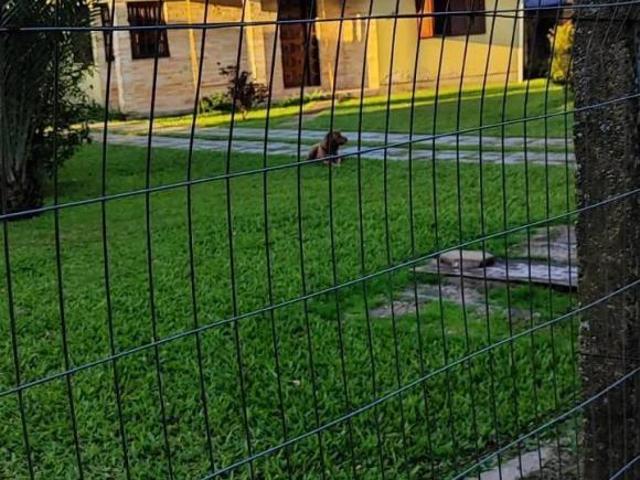 Lindo sitio á venda no Lami