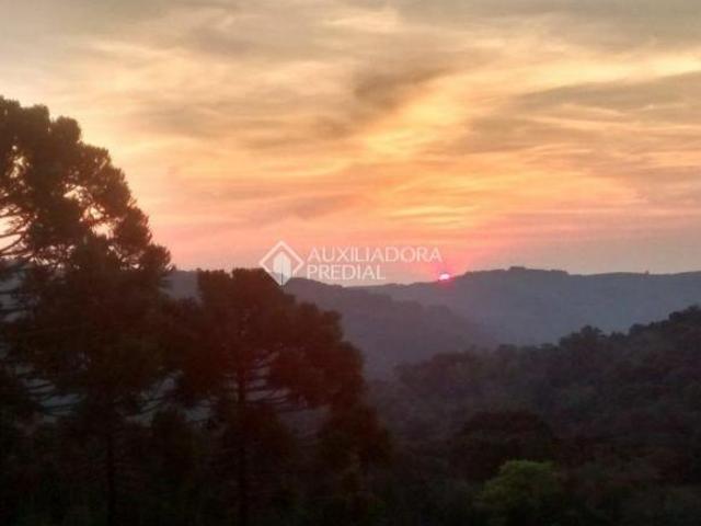 Lindo sítio à venda em Canela, na encantadora Serra Gaúcha