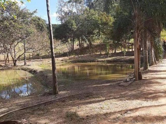 Lindo sítio à venda em Socorro /SP, com área de 17.000m², 6 dormitórios, 03 lagos com peixes e uma v