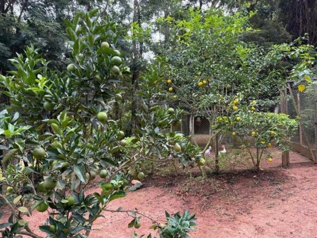 LINDO SÍTIO C/ CASA NOVA E NASCENTE PRÓPRIA À VENDA EM MOEDA/MG