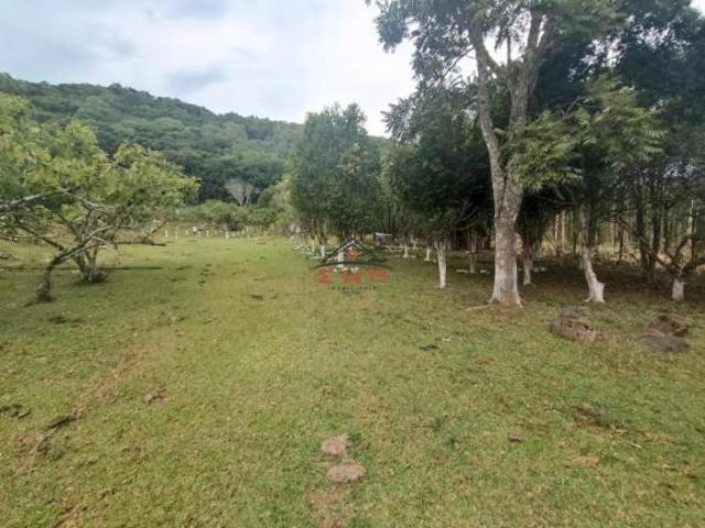 LINDO SÍTIO COM CASA