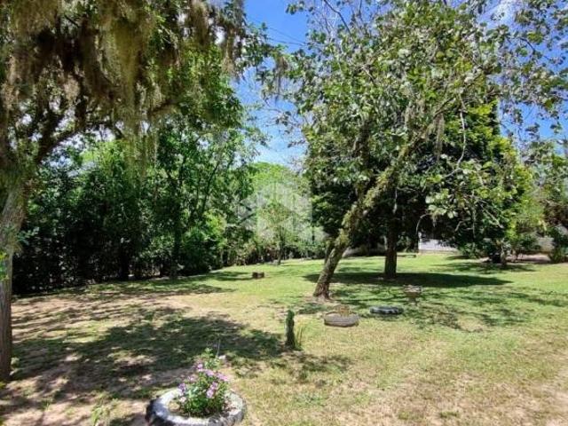LINDO SÍTIO DE 26 HECTARES, KM 40 VIAMÃO