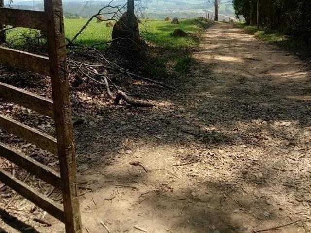 Lindo Sítio de 37 ha Pertinho de BH