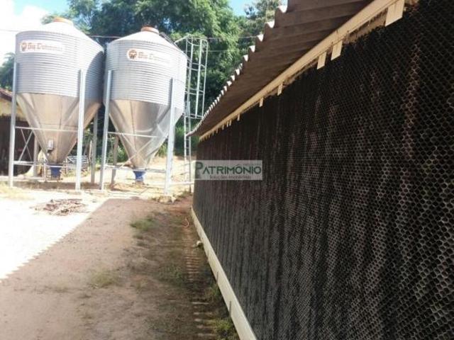 LINDO SÍTIO DE PRESSÃO NEGATIVA Á VENDA EM PEDREIRA SP!