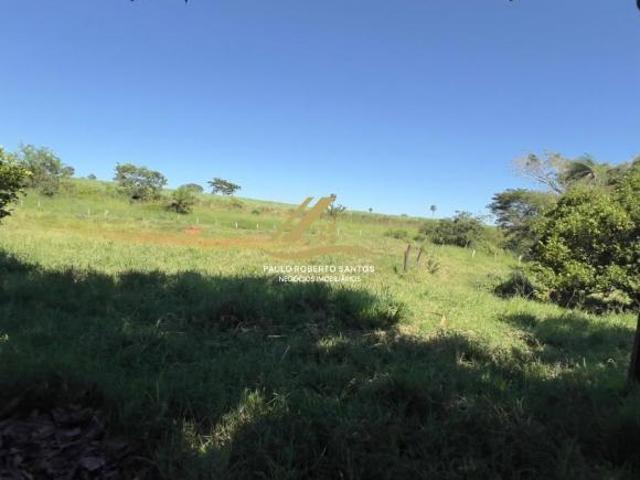 Lindo Sítio em Tanabi SP: 120.000m² de área plana, água corrente, todo arborizado e imóvel com 1 qua
