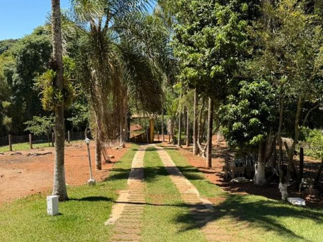 LINDO SITIO EM TUIUTI OPORTUNIDADE