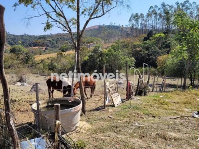 Lindo Sítio em Desterro de Entre Rios com 6,5 Hectares