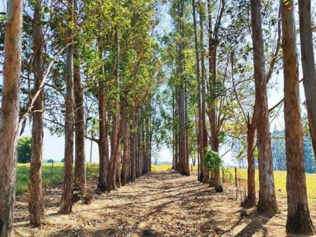Lindo sitio em Itapetininga com 10,58 alq