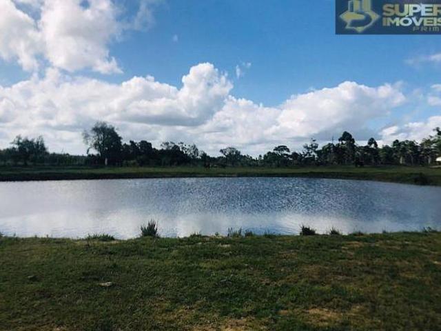 Lindo Sitio em Monte Bonito Pelotas RS com 3 Casas