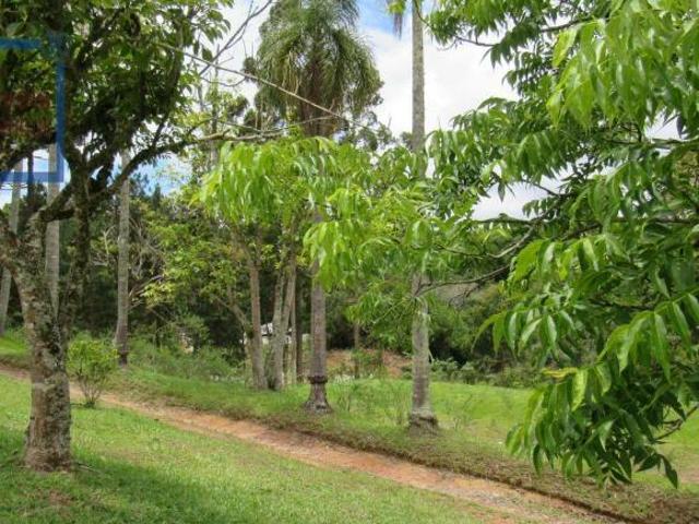 Lindo Sitio em São Roque com 48.000 m2