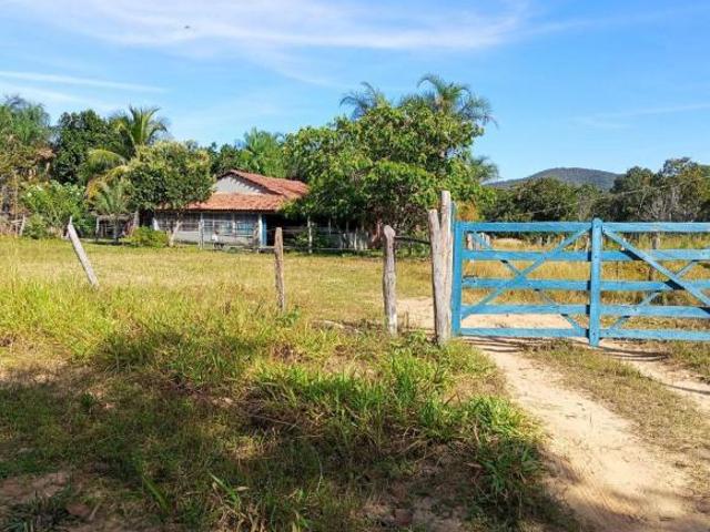 LINDO SÍTIO NA CHAPADA DOS VEADEIROS GO