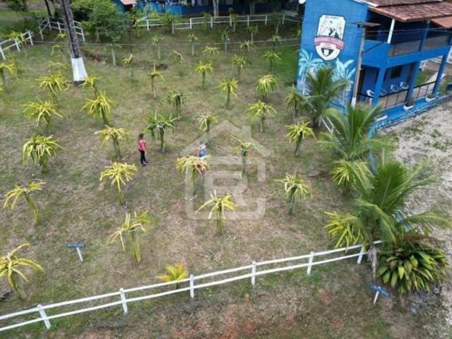 Lindo Sitio para Haras