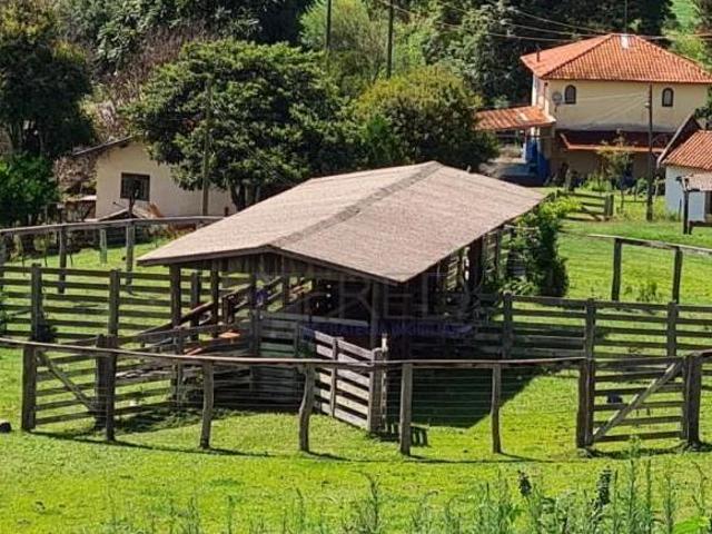 Lindo sitio região sul de Londrina 22,42 alqueires paulista