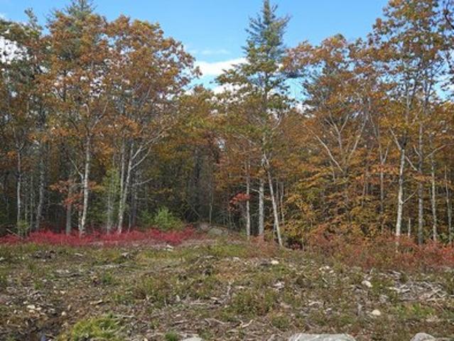 Lindsay Ln, South Berwick, ME 03908