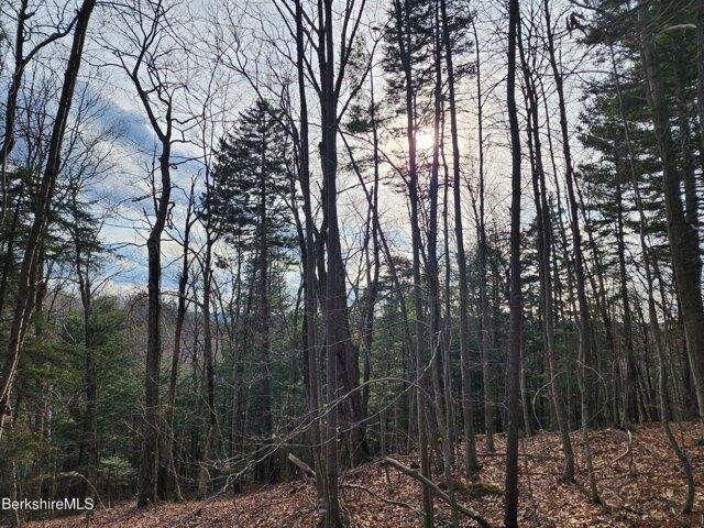 Lindsey Hill Rd, Worthington, Plot For Sale