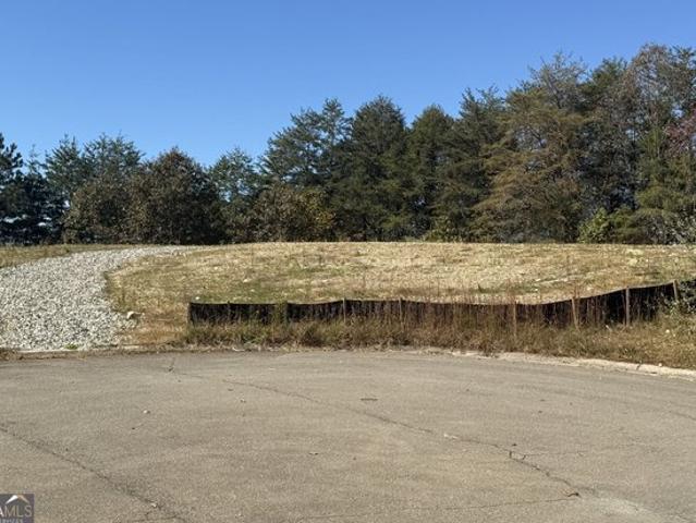 Lindsey Ln Lot 11, Blue Ridge, GA 30513