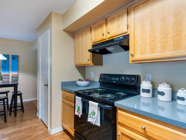 Lindsey Terrace Apartments 1 Bedroom Apartment for Rent at 8500 Argyle Business Loop, Jacksonville, FL 32244 Argyle Forest