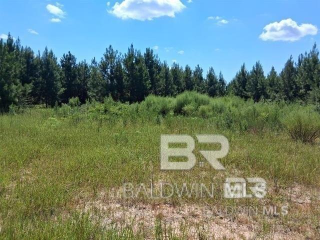 Linholm Rd, Robertsdale, AL 36567