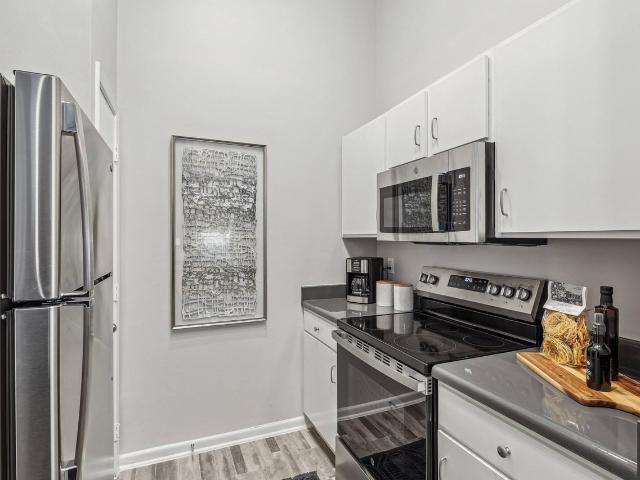 Link at Plano 2 Bedroom Apartment for Rent at 1045 15th Place, Plano, TX 75074 Downtown Plano