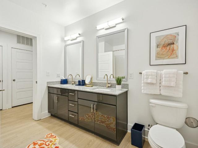 Link Apartments® Calyx 2 Bedroom Apartment for Rent at 55 Maxwell Rd, Chapel Hill, NC 27517