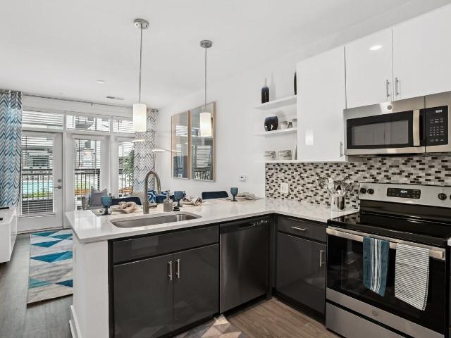 Link Apartments® Mint Street 2 Bedroom Apartment for Rent at 1200 S Mint St, Charlotte, NC 28203 The South End