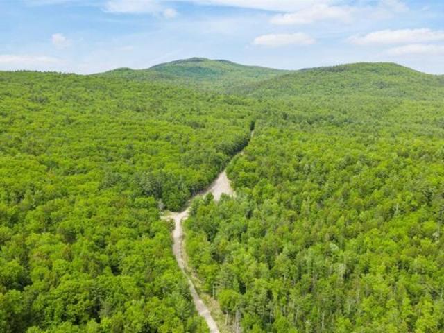 Lions Camp Pride Way, New Durham, Plot For Sale