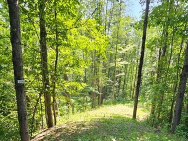 Libby Hill Rd, Gardiner, Plot For Sale
