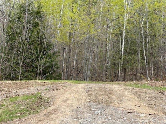 Liberty ME 04949 104352120