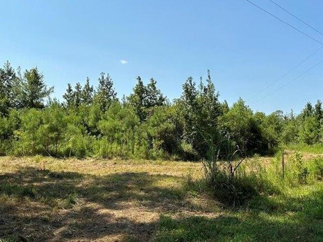 Liberty MS 39645 89620435