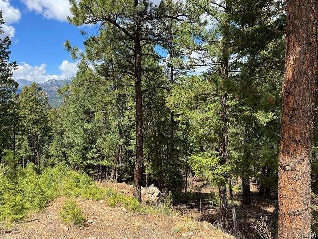 Liberty Dr, Evergreen, CO 80439