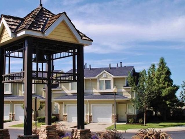Liberty Hill Allysum