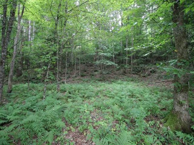 Liberty Hill Rd, Pittsfield, Plot For Sale