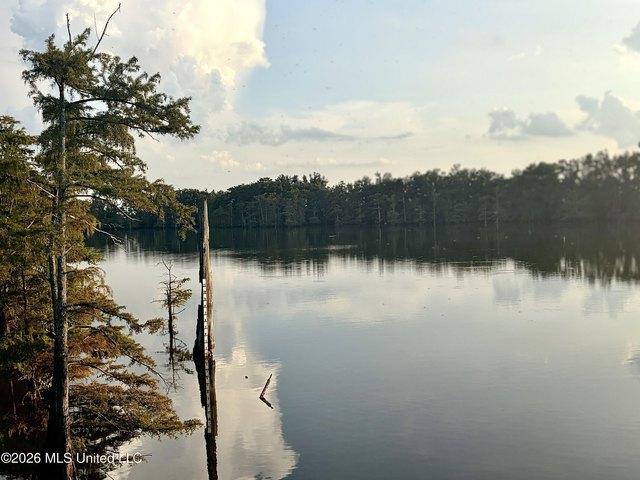 Liberto Ln Lot 42, Tchula, MS 39169