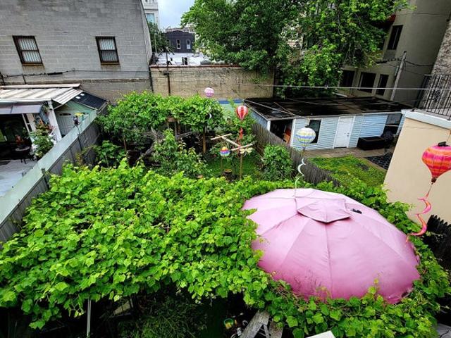 LIC House Share in Prime Area w/Utilities & more!