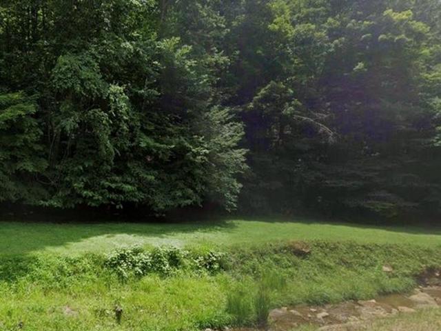 Lick Log Rd Lot 10, Grundy, VA 24614