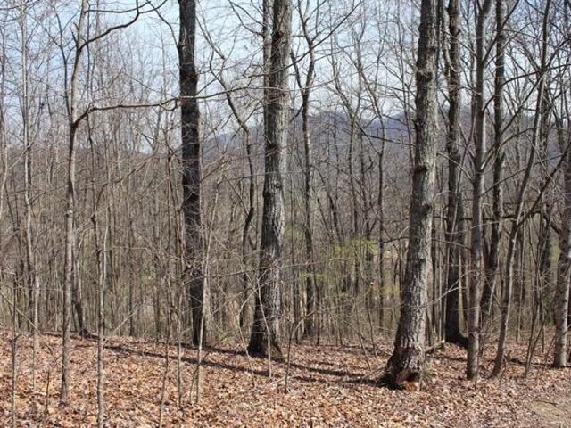 Licklog Rdg Lot A, Hayesville, Plot For Sale