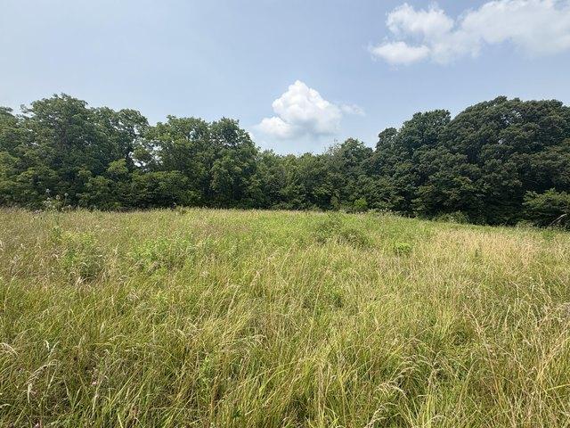 Licklider Rd, Conover, OH 45317
