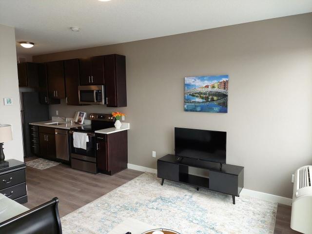 Liffey on Snelling 1 Bedroom Apartment for Rent at 304 Snelling Ave N, St. Paul, MN 55104 Snelling Hamline