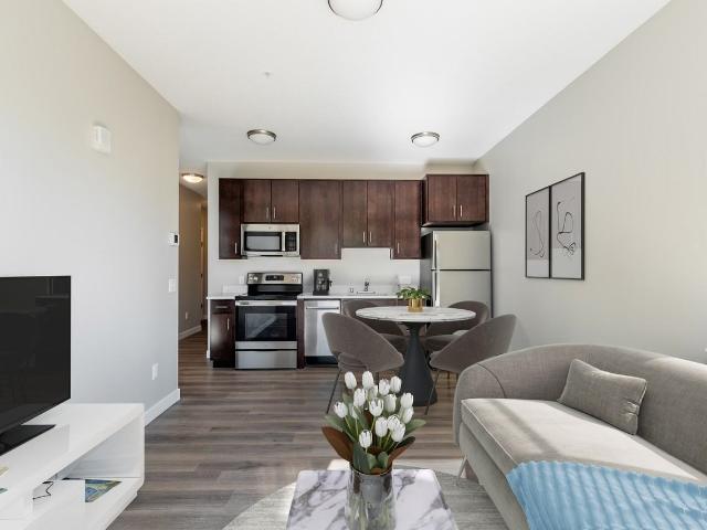 Liffey on Snelling 2 Bedroom Apartment for Rent at 304 Snelling Ave N, St. Paul, MN 55104 Snelling Hamline