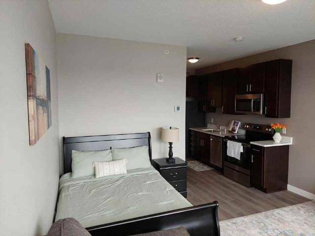 Liffey on Snelling Studio Apartment for Rent at 304 Snelling Ave N, St. Paul, MN 55104 Snelling Hamline