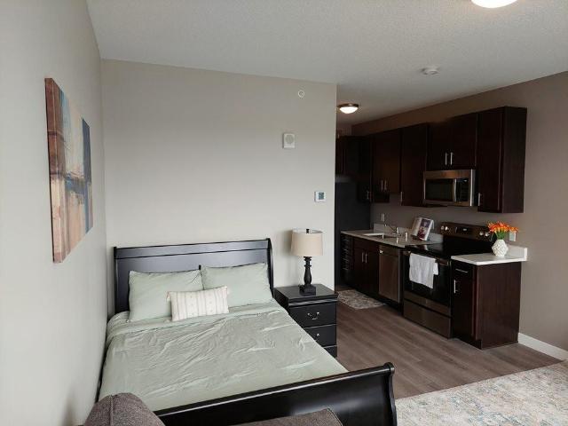 Liffey on Snelling Studio Apartment for Rent at 304 Snelling Ave N, St. Paul, MN 55104 Snelling Hamline